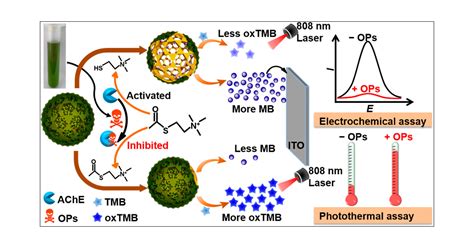 Complementary Homogeneous Electrochemical And Photothermal Dual Modal Sensor For Highly
