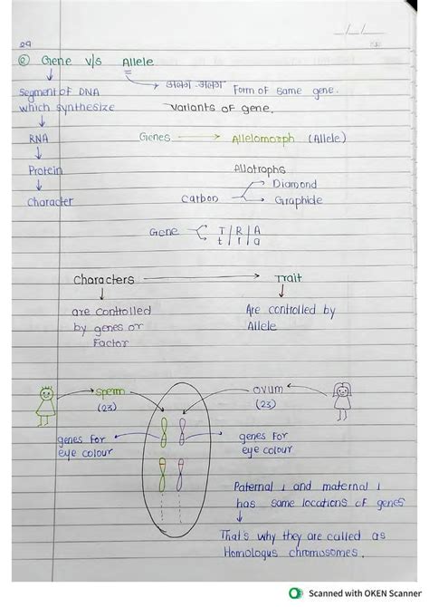 Solution Principles Of Inheritance And Variation Handwritten Notes