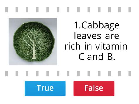Cabbage And Its Relatives True Or False