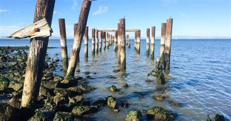 Explore Point Pinole Shoreline Richmond California