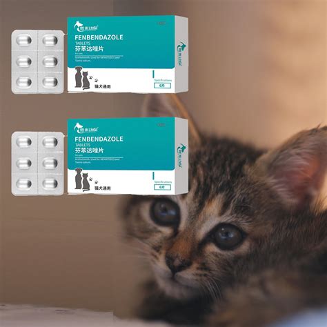 Cat Dewormer Tablets 6 Pills Per Box Dewormer For Pets Cat Dewormer