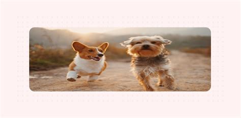 Image Scale Mode Zoboui Docs