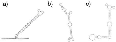 consistency of rna secondary structure predictions in this example the