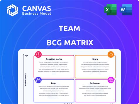 Team Bcg Matrix Analysis