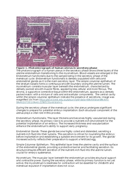 figure 1 philosophy of langugage figure 1 photomicrograph of human