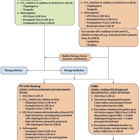 Accf Aha 2014 Nste Acs Antiplatelet Therapy By Treatment Strategy Download Scientific Diagram