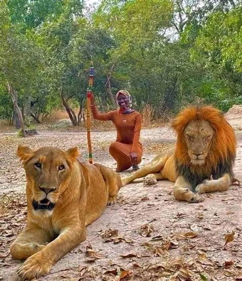Mayowa J Michael Acib On Linkedin Senegal Wildlife Park Tourism Tourists Africa