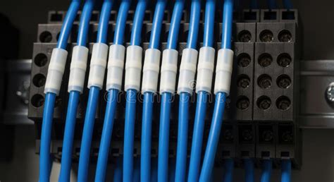 Blue Electrical Wires Connected To Black Terminal Blocks In An Industrial Setting Stock