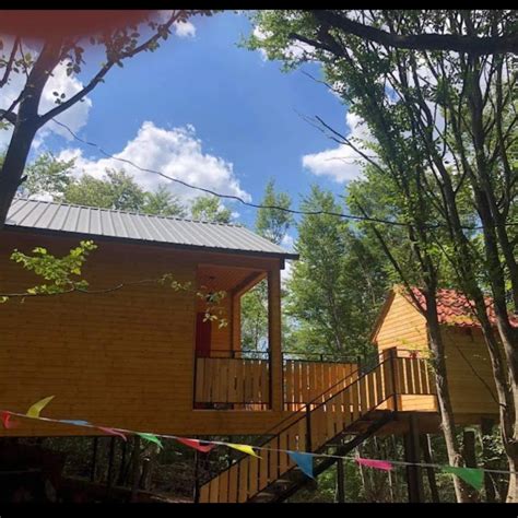 ტყის ქოხი • Forest Hut Tbilisi