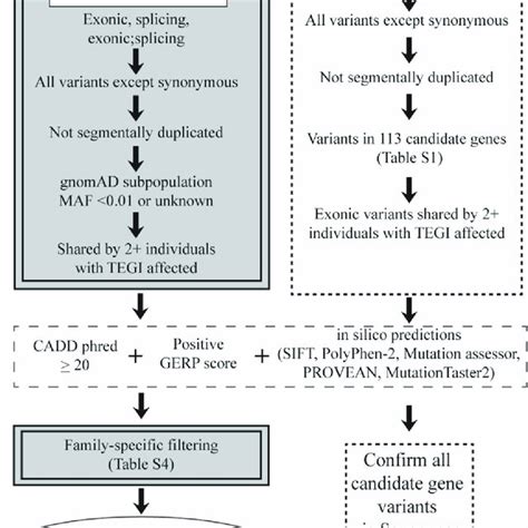 Variant Prioritization Workflow Maf Minor Allele Frequency Download Scientific Diagram