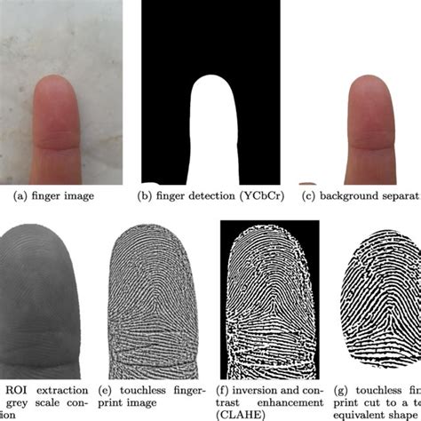 Pdf An Overview Of Touchless 2d Fingerprint Recognition