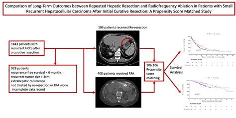 Journal Of Hepatocellular Carcinoma Volume 12 Dove Press