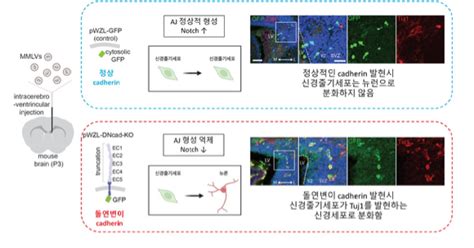 지금은 과학 나노기술로 암·치매 발생하는 원리 찾아냈다