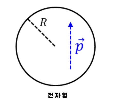 전기 분극 Electric Polarization 전자형