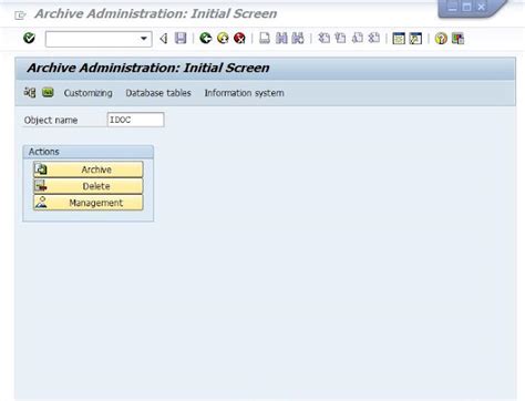 SAP BASIS Support Issues Solutions SAP Archiving IDOCS In SAP