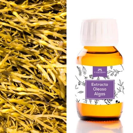 Aceite De Algas Marinas 100 Puro Cremas Caseras