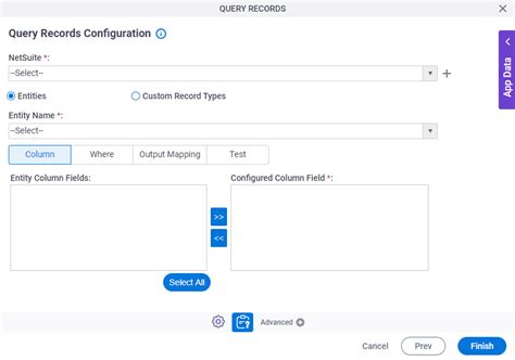 Query Records Netsuite Activity