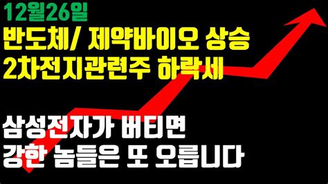 반도체제약바이오 상승 2차전지관련주 하락 삼성전자가 잘 버티면 강한 종목들 계속 째려보세요 오늘밤9시 라이브방송합니다 반도체관련주 제약바이오 2차전지관련주