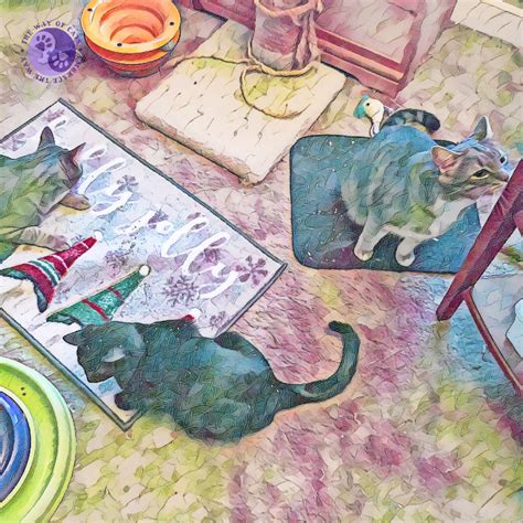 Secret Of Catnip Its Actually Working Fun At Way Of Cats