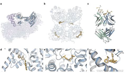 深度技术解读alphafold3 谷歌第三代ai工具精准预测生物大分子四级结构 Alphafold3结果分析 Csdn博客