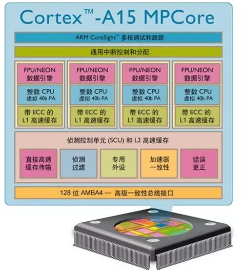 Arm内核全解析，从arm7arm9到cortex A7a8cortex A53a57a72arm处理器排行榜 Csdn博客