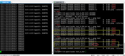 Linux知识回顾总结 进程状态
