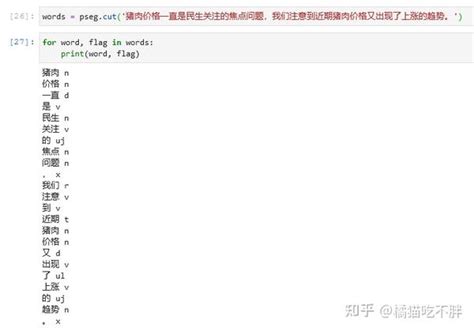 中文、英文词性标注 知乎