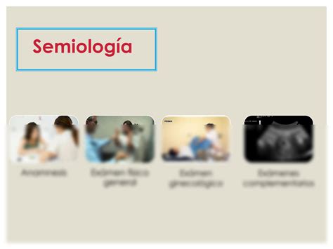 SOLUTION Semiolog A Anamnesis Y Examen Ginecol Gico Studypool