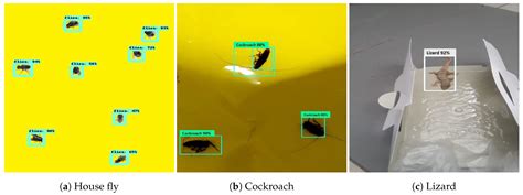 Remote Insects Trap Monitoring System Using Deep Learning Framework And Iot
