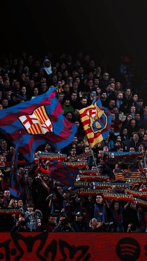 امیر آبی اناری طرفداری