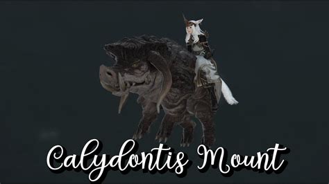 How To Get Calydontis And Wivre Mount On Final Fantasy Xiv