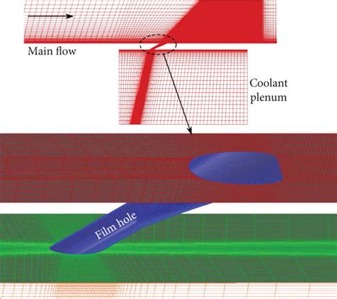 computational model and mesh distribution around a typical film hole