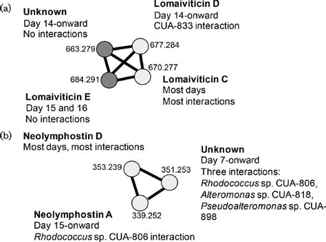 an ms ms molecular network generated from all time course 1 and