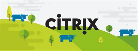 Deploying Citrix Ingress Controller Via The Rancher Catalog Suse Communities