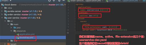 在使用Nacos作为统一配置中心的时候项目中使用 Value注解从Nacos获取值一直报错Could not resolve placeholder blog website in