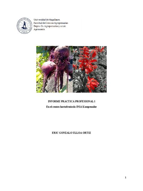 Informe Practica Profesional Ii Informe Final Eric Ulloa Pdf