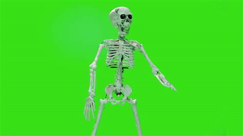 Dancing Animation Videos Download The Best Free 4k Stock Video Footage And Dancing Animation Hd