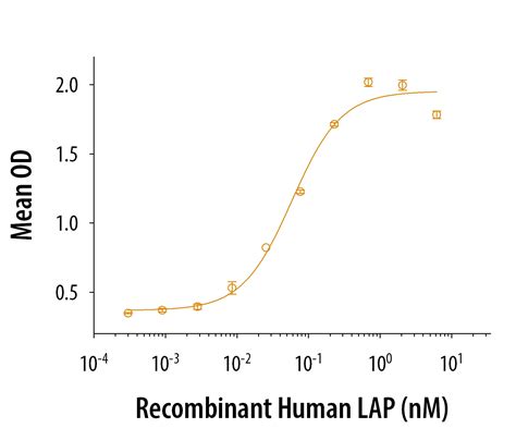 Recombinant Human Integrin Alpha V Beta 8 Protein Cf 4135 Av 050 Randd Systems