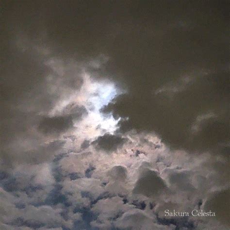 名月の余韻 Sakura Celesta♪ 手作りの愉しみ満喫中♪