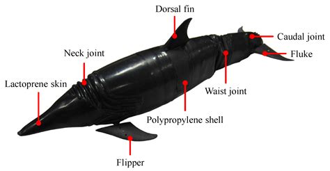 Quantifying The Leaping Motion Using A Self Propelled Bionic Robotic Dolphin Platform