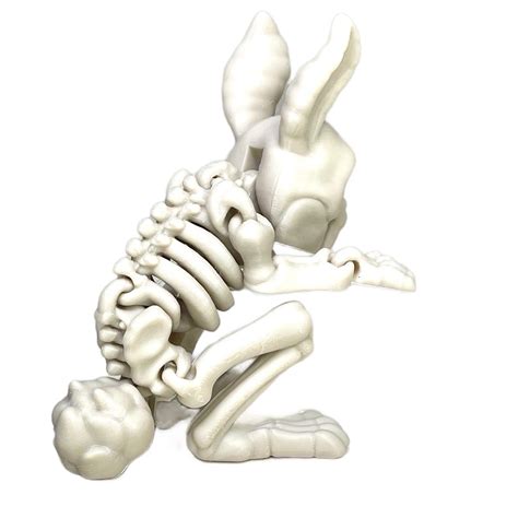 Rabbit Bone Structure