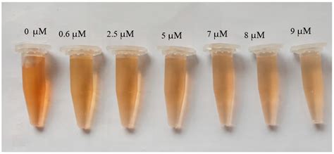 Colorimetric Sensing Of Mercury In Aqueous Solutions Using Silver