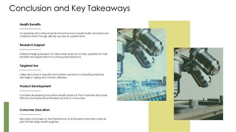Conclusion And Key Takeaways Dismutase Ppt Sample St Ai Ss Ppt Example