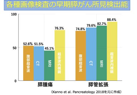 膵管内乳頭粘液性腫瘍（ipmn）と膵がんの関係とは？：ipmn由来膵がんとipmn併存膵がんについて解説｜みゆき消化器内視鏡クリニック｜多摩市