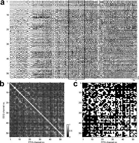 Deriving The Adjacency Matrix A Representative Eeg Recording With 53 Deriving The Adjacency Matrix A Representative Eeg Recording With 53