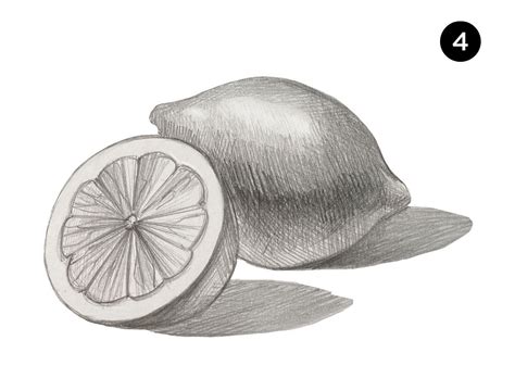 How To Draw A Lemon Step By Step Realistic Drawing