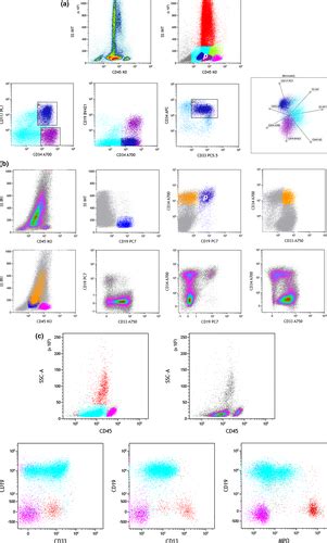 Multiparameter Flow Cytometry Applications In The Diagnosis Of Mixed Phenotype Acute Leukemia