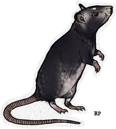 Fillory La By Danilu1998 On Deviantart