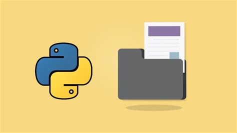Desktop Organization With Python Youtube
