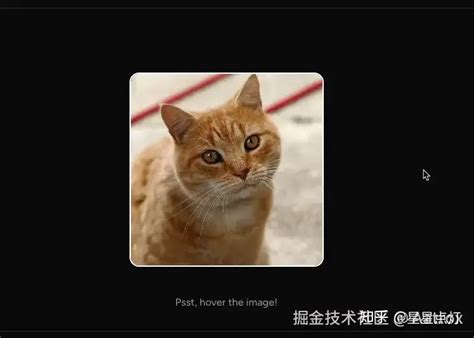 交互效果太单调？推荐两个动画丝滑的组件库，vue 和 nuxt都适用！ 知乎